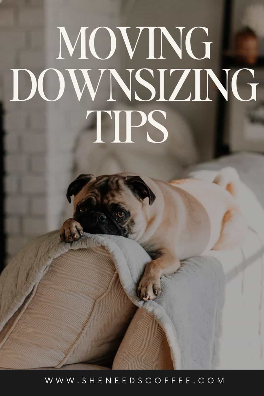 Moving Downsizing Tips for a Fresh Start - She Needs Coffee
