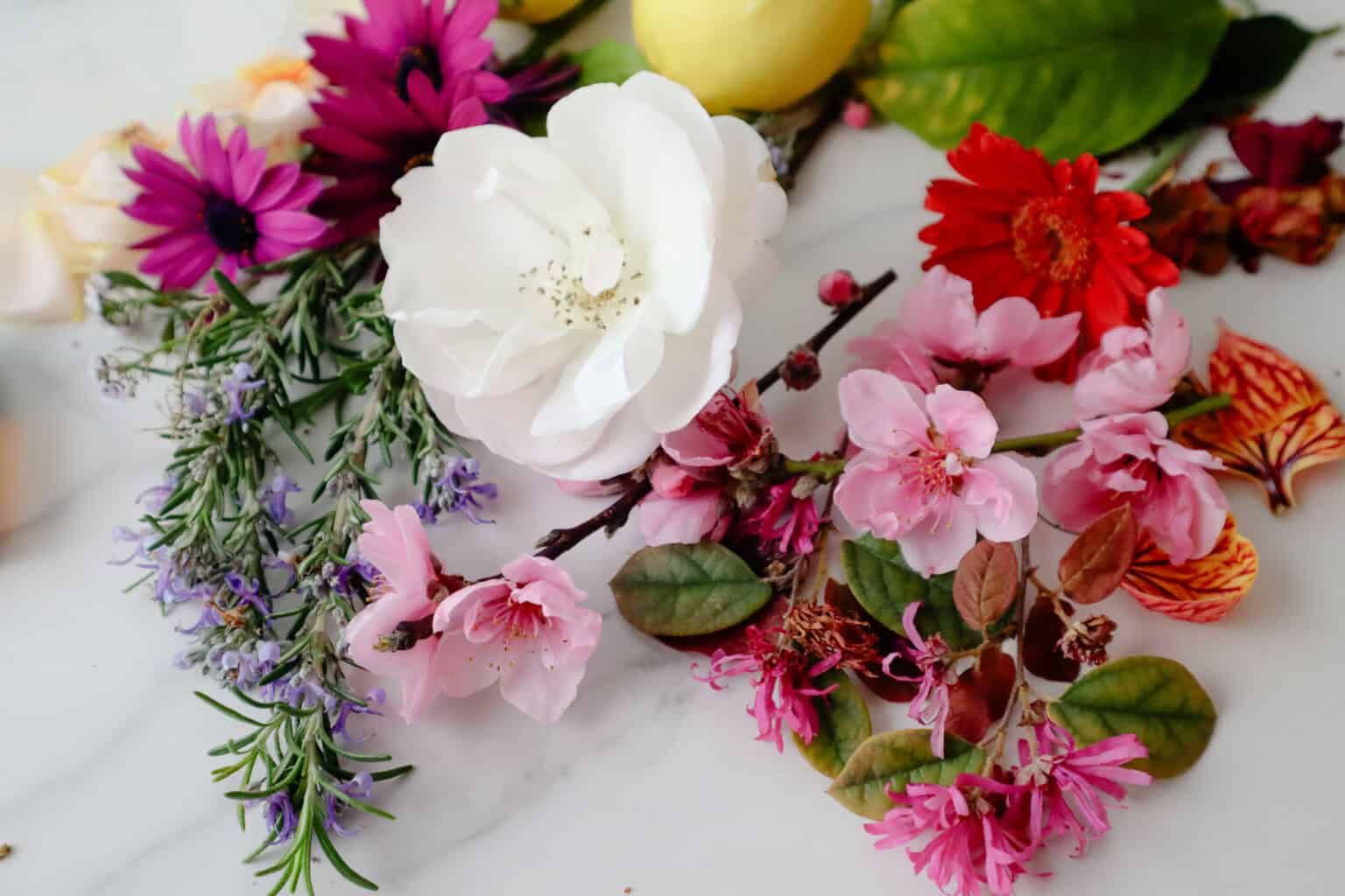 Spring Floral Simmer Pot: A Beautiful Way to Scent Your Home - She ...