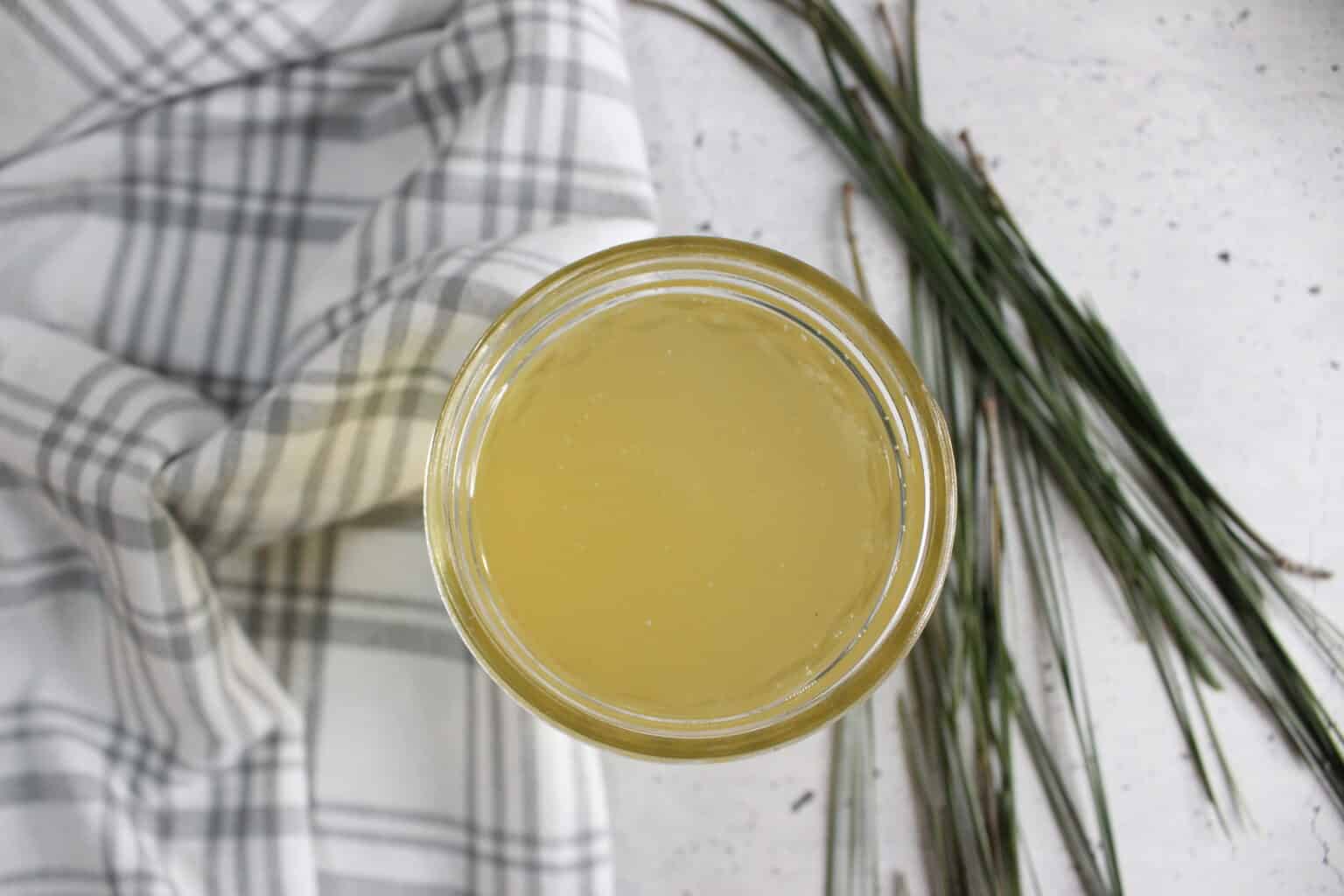 Natural Pine Needle Soda Recipe: A Refreshing Lemon-Lime Drink - She ...