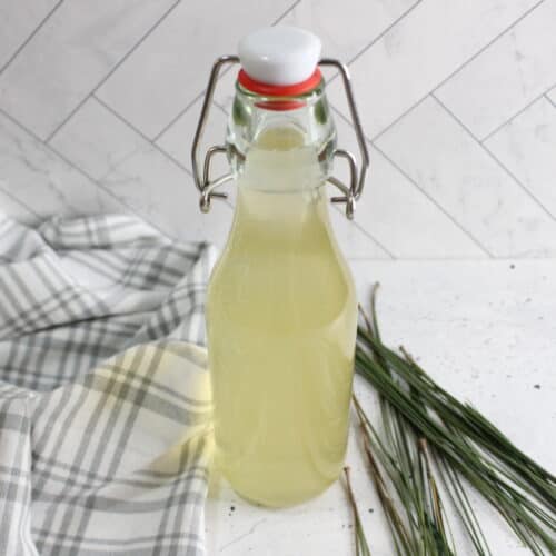 Natural Pine Needle Soda Recipe: A Refreshing Lemon-Lime Drink - She ...