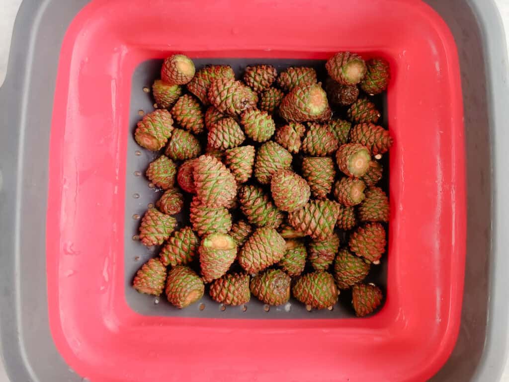 Homemade Pinecone Jam Recipe: Sweet and Woodsy - She Needs Coffee