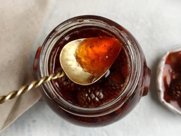 Homemade Pinecone Jam Recipe: Sweet and Woodsy - She Needs Coffee