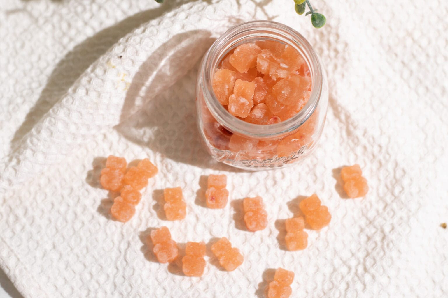 Natural Apple Cider Vinegar Gummies Recipe to Make at Home - She Needs ...