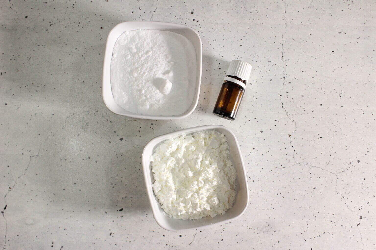 Flea and Tick Powder for Your Home (Dog-Friendly & Natural) - She Needs ...