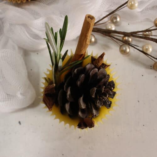 Natural DIY Fire Starters That Look and Smell Amazing - She Needs Coffee